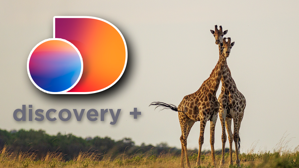 Discovery Plus Review - A Quick and Short Review